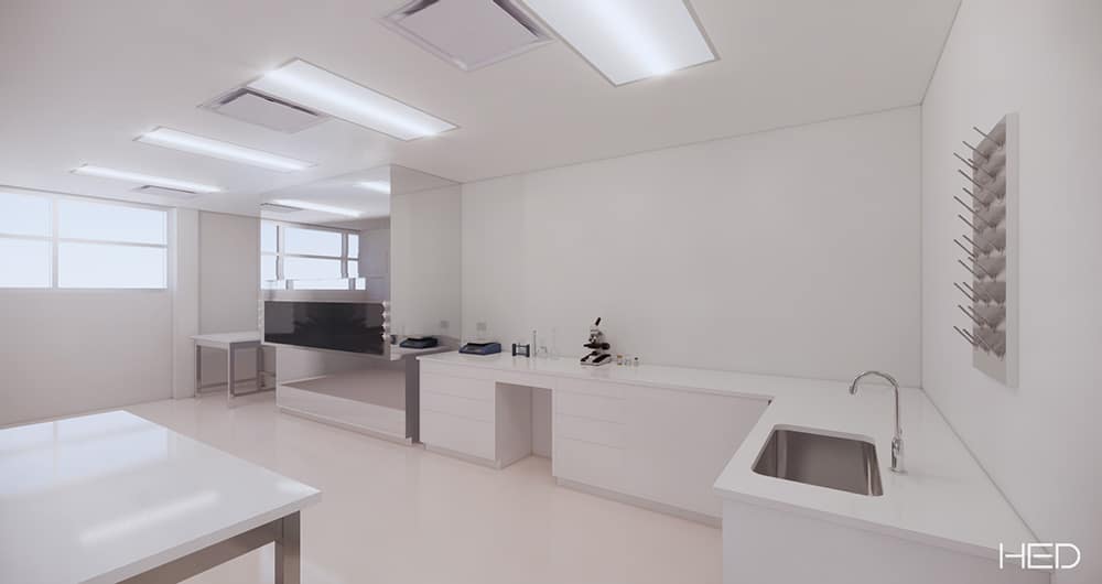 Ansa Biotechnologies | Spectrum