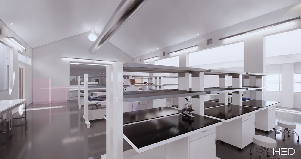 Ansa Biotechnologies | Spectrum